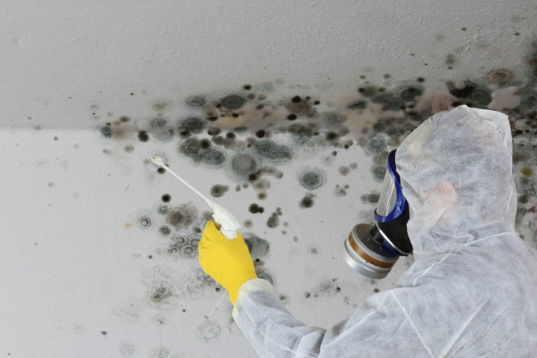 Mold Removal Contractor West Bloomfield MI | Michigan Restoration Pros